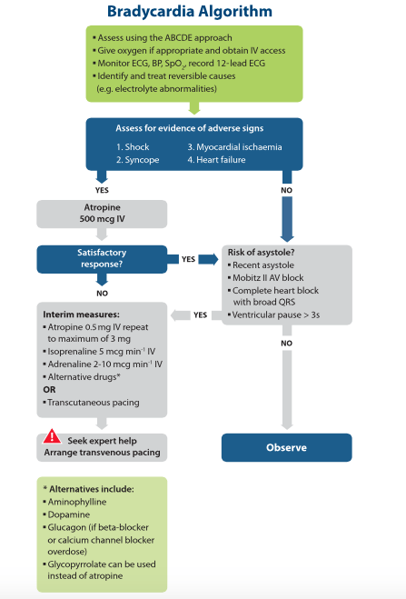 kardiyak arrest Archives - Acilci.Net