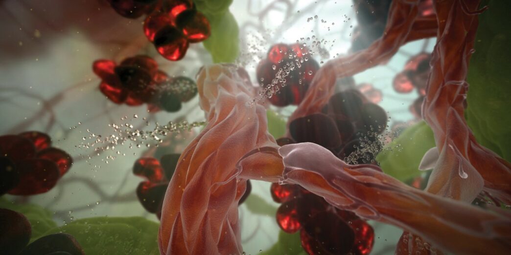 Akut Mezenter İskemi: ESTES Kılavuzu - Acilci.Net