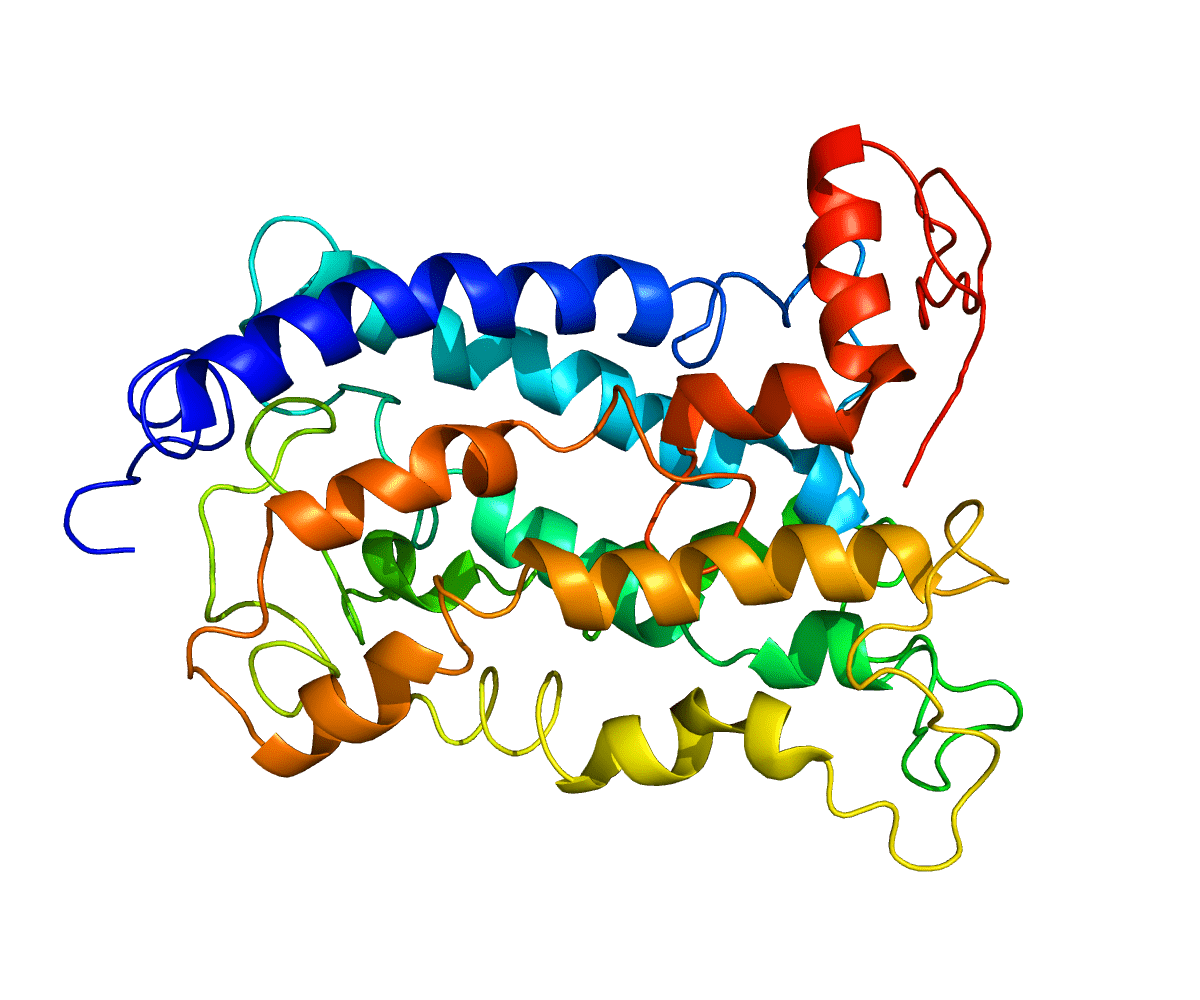 P2Y12 antagonistlerinde son durum: PRAGUE-18 çalışmasının erken ...