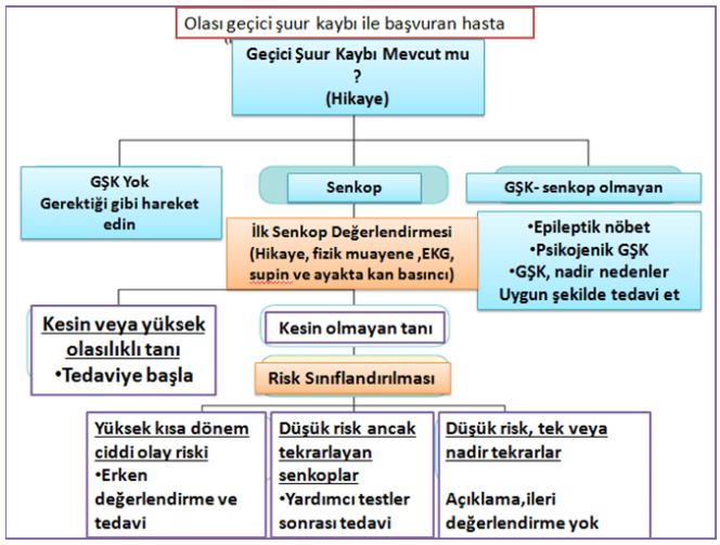 2018 ESC Senkop Kılavuzu - Acilci.Net