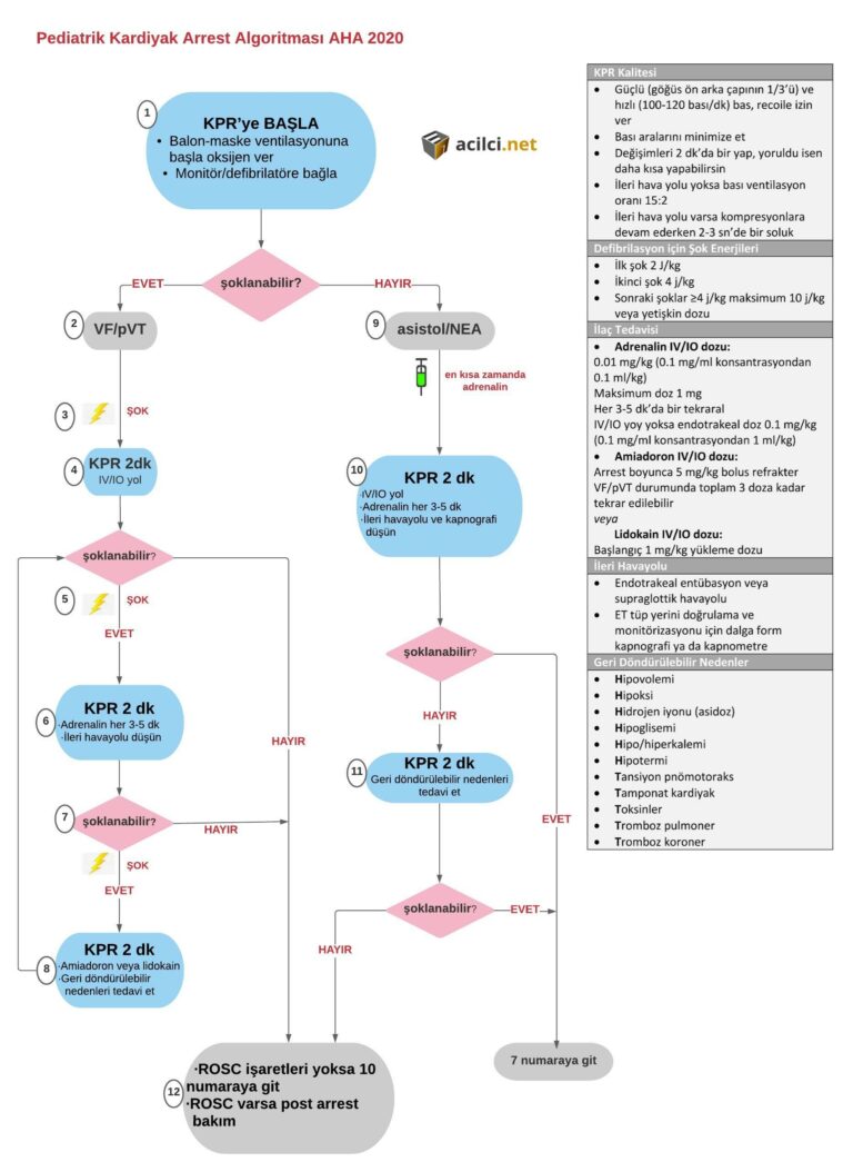 Pediatrik Temel ve İleri Yaşam Desteği- AHA 2020 - Acilci.Net