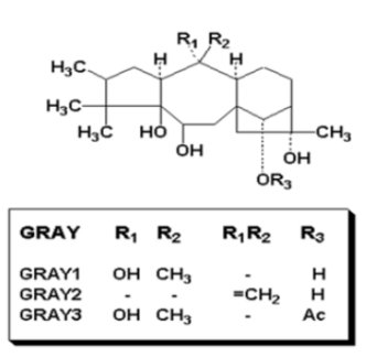 Filmlere İlham Kaynağı Olan, Dünyanın İlk Biyolojik Silahı: DELİBAL ...