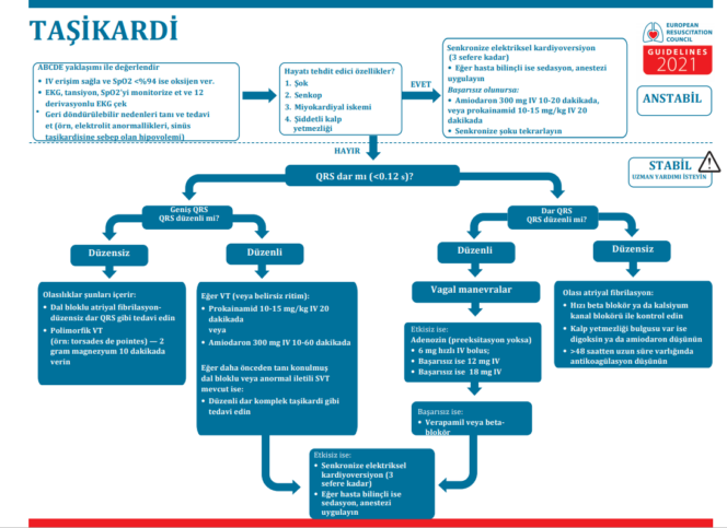 ERC 2021 Resüsitasyon Kılavuzu – Erişkin İleri Yaşam Desteği – 2 ...