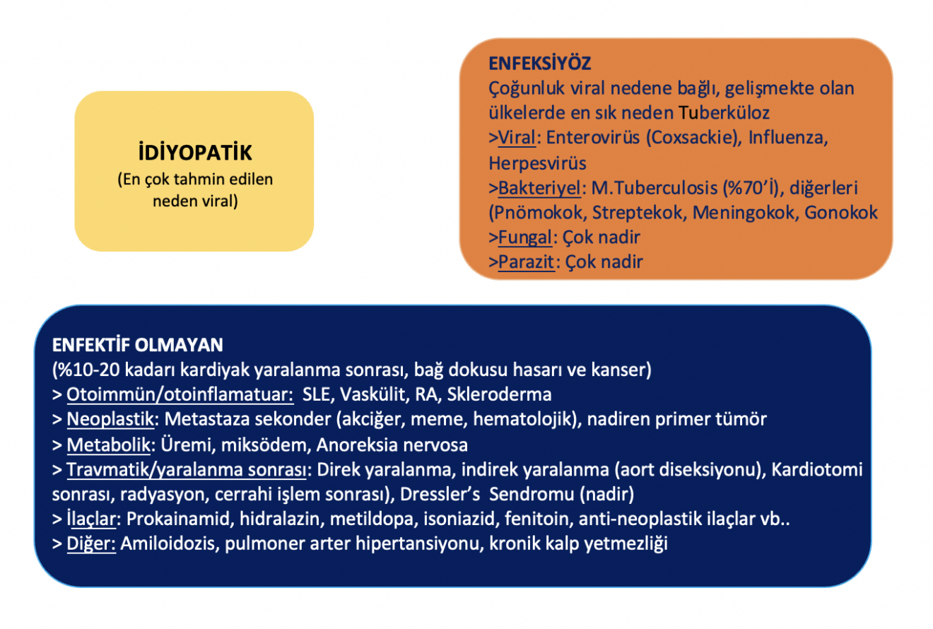 Akut Perikardit Tedavi ve Yönetimi - Acilci.Net