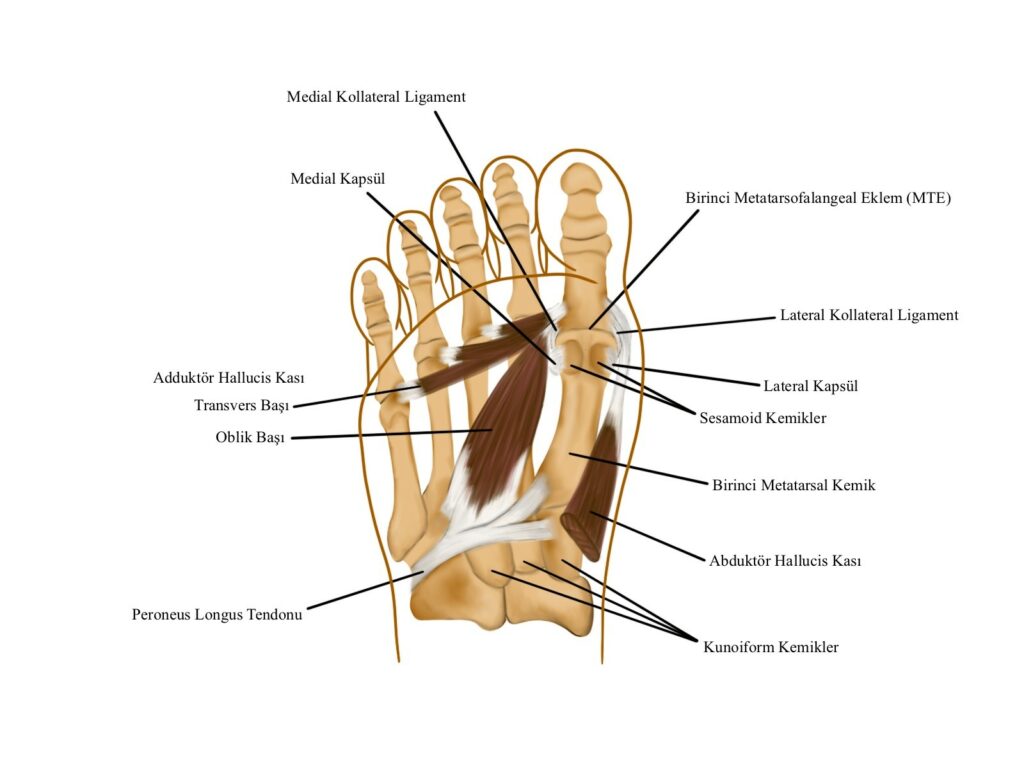 Turf Toe - Acilci.Net