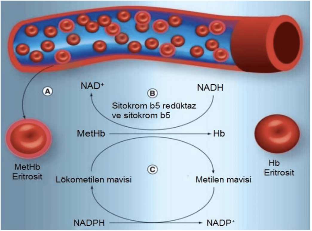 Methemoglobinemi - Acilci.Net
